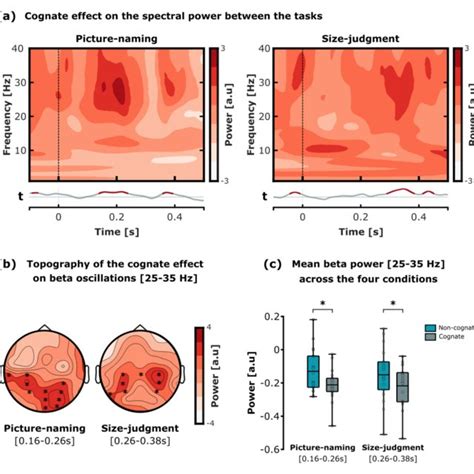 Cognate Effect Non Cognates Versus Cognates Modulation On Beta