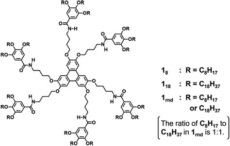 Individually Separated Supramolecular Polymer Chains Toward Solution
