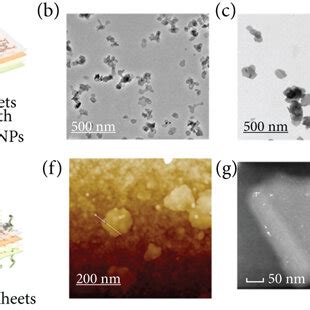 A Preparation Of Sm TCPP Pt Nanosheets And Its TEM Images Download Scientific Diagram