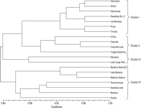 Dendrogram Depicting Genetic Relationship Among Indian Litchi Cultivars Download Scientific