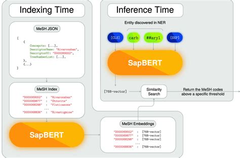 Named Entity Normalization Deep Learning Model Download Scientific