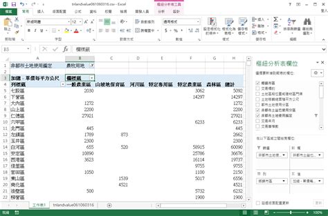 Excel 樞紐分析表使用教學與實際資料範例 G T Wang