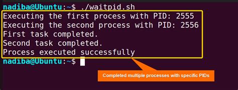 Bash Wait Command In Process Management 6 Examples LinuxSimply