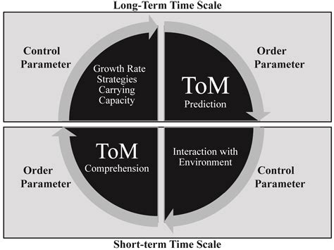 Figure 1 From Article Title Development Of Second Order Theory Of Mind