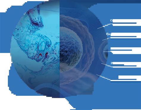 Chicago 2025 Standard Biotools