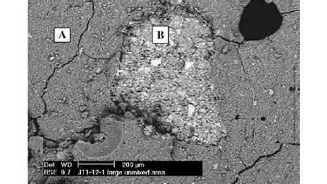 Sem Micrograph Of Matrix 8 20 Slag Ms 2 0 At 14 Days Download Scientific Diagram