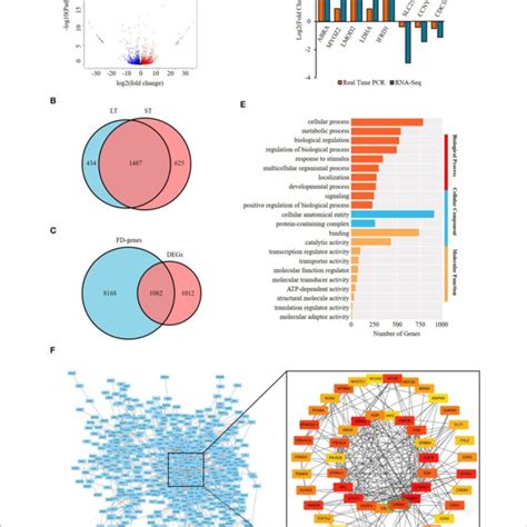 Figure E Analysis Of Rna Seq Data A Classification Of Lncrnas And