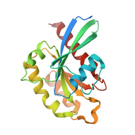 Protein Rab25 Overview Cansar Ai Cansar Ai