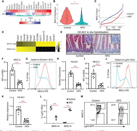 Figure 1 From Dietary Suppression Of Mhc Class Ii Expression In Intestinal Epithelial Cells