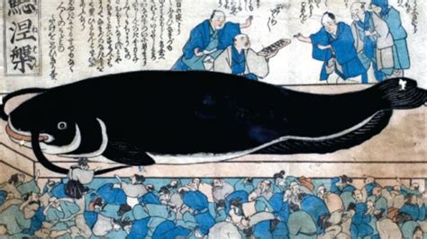 Mengenal Cladding Pengertian Fungsi Jenis Material Dan Perawatan