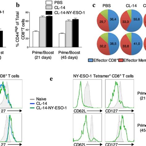 Effector And Effector Memory Cd8 T Cells Were Generated With Download Scientific Diagram
