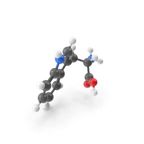 Tryptophan Molecule Png Images And Psds For Download Pixelsquid S121526096