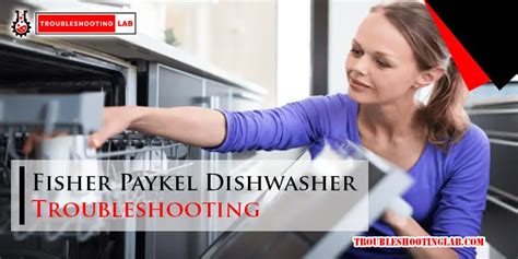 Insinkerator Garbage Disposal Troubleshooting Easy Fixes And Tips