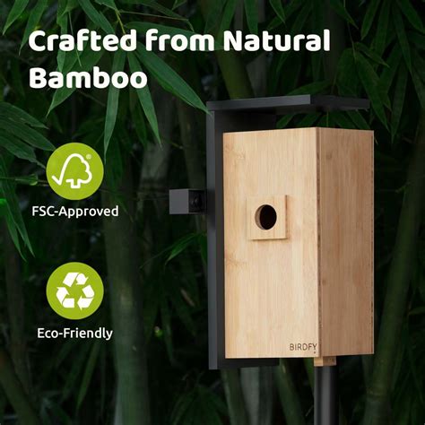 Birdfy Nest Smart Bird House With Dual Cameras