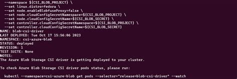 wrong command to check azure blob storage csi driver pods status