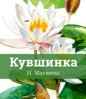 Кувшинка - стих Новеллы Матвеевой, читать онлайн
