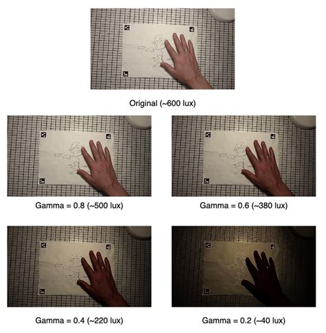 Image Under Different Lighting Conditions Download Scientific Diagram