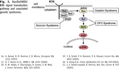 figure 3 from combined analog and action potential coding in