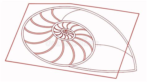 fibonacci spiral geometric pattern design vector design generative ai