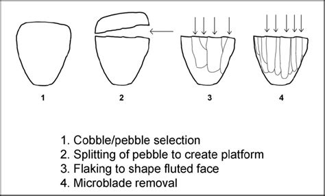 3 System A Of Microcore Reduction Download High Resolution Scientific