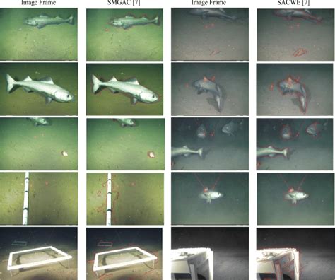 Few Frames And Corresponding Objects Shape Extracted Using Saliency Download Scientific Diagram