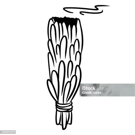 세이지 스틱 핸드 그린 얼룩 낙서 벡터 격리 만화 흰색 세이지 허브 번들 이미지 흡연 클렌징 마법 위칸 토착 아이템 건강한 생활방식에 대한 스톡 벡터 아트 및 기타 이미지