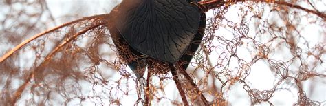 Bunga Kertas Ong Cen Kuang