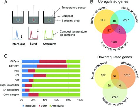 Schematic Representation Of Experimental Setup For The Transcriptome