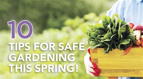 10 Tips For Safe Gardening This Spring Sheltering Arms Institute