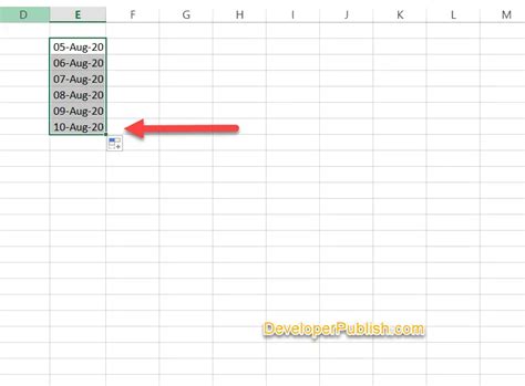 How To Use AutoFill In Microsoft Excel Developer Publish