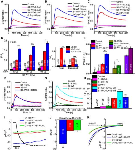 Stim2 Induces Activated Conformation Of Stim1 To Control Orai1 Function