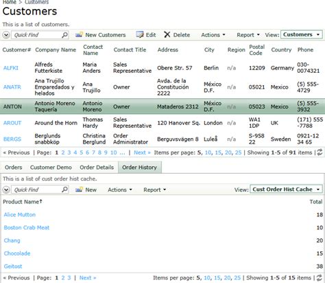 Code On Time Data Sources Stored Procedures Using Output Cache Master Detail Relationship
