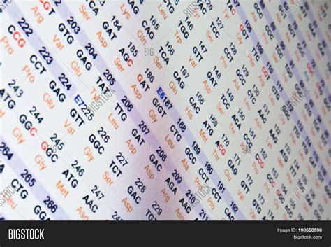 Code Protein Sequence Image And Photo Free Trial Bigstock