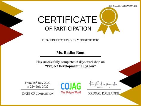 Rasika Raut On Linkedin Certificateofparticipation Pythondeveloper
