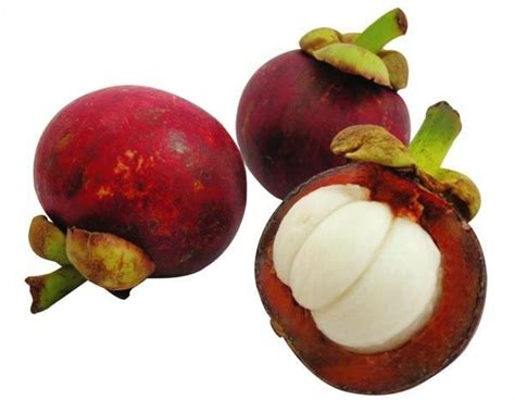 Mangostin