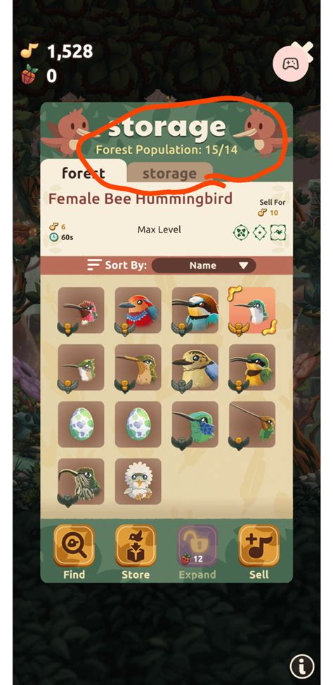 Didnt Know About This Glitch With Bird Kind Rflutterbutterflysan