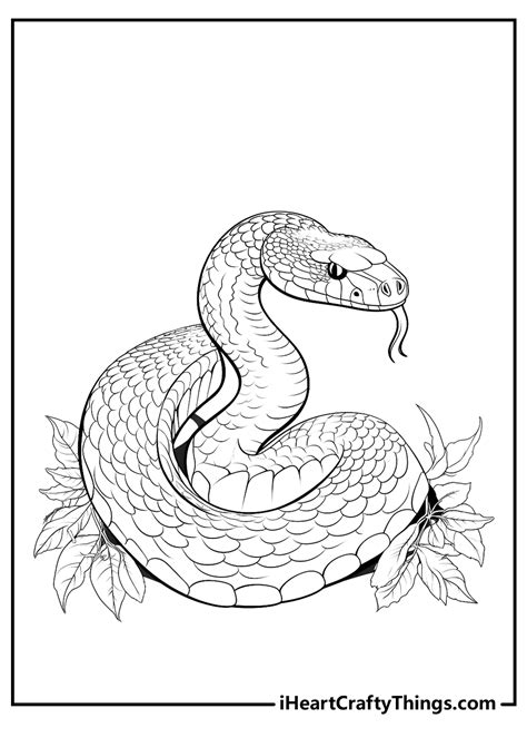 Coloring Pages Of Snakes