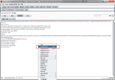 如何使用burpsuite进行时间盲注爆破 burpsuite 时间盲注 csdn博客