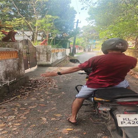 Merged Object Detection Dataset V1 2025 01 29 1055pm By Final Project