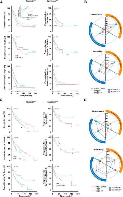 Figure 1 From Nucleolin Overexpression Predicts Patient Prognosis While Providing A Framework