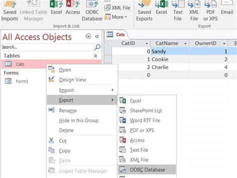 ms access application implemented with access database for your