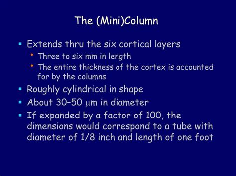 Ppt Small Scale Representation Cortical Columns Powerpoint Presentation Id 971131