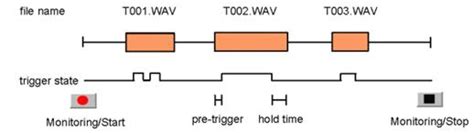 Avisoft Recorder Getting Started