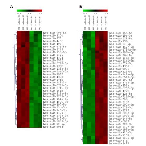 Heatmap Of Clustering Mirna Microarray Data With Columns Arranged