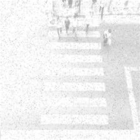 Crosswalk And Light Detector Object Detection Dataset And Pre Trained