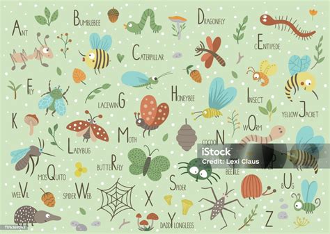 어린이를위한 우드 랜드 알파벳 녹색 배경에 숲 곤충 귀여운 평면 Abc 흰색 배경에 읽기를 가르치는 수평 레이아웃 재미있는
