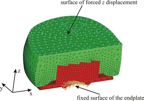 Finite Element Mesh Of The Model With Loads Blue Triangles Are Symbols
