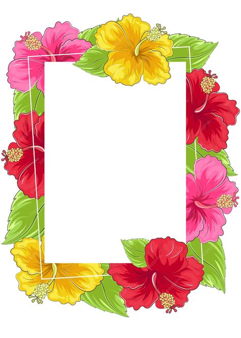 Premium Vector Frame Of Hibiscus Flowers And Leaves