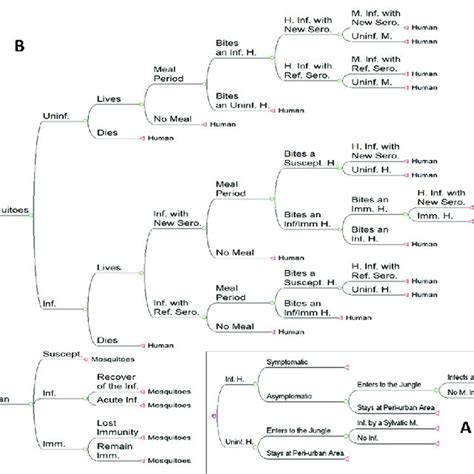 Graphical Representation Of The Models A Schematic Of The Markov Model Download Scientific