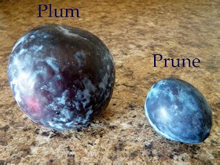 The Healing Kitchen Plums And Prunes